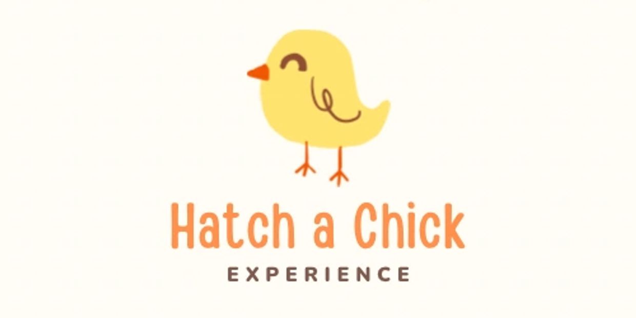 Hatch a Chick Experience | Chicken Town Hatchery & Hens